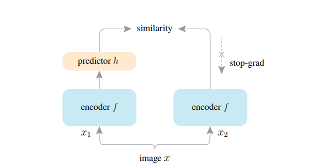 Unsupervised Learning | 对比学习——13篇论文综述_对比学习综述-CSDN博客