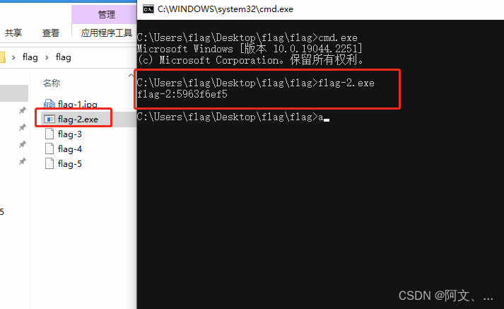 安鸾渗透实战平台（安全基础）文件类型 (100分)_pe32+ executable (console) x86-64-CSDN博客