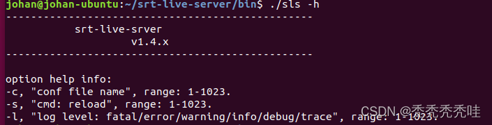 搭建srt服务器_srt服务器搭建-CSDN博客