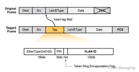 Trunk技术_trunk协议-CSDN博客
