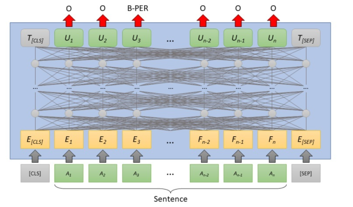 基于BERT实现简单的NER任务_bert ner-CSDN博客
