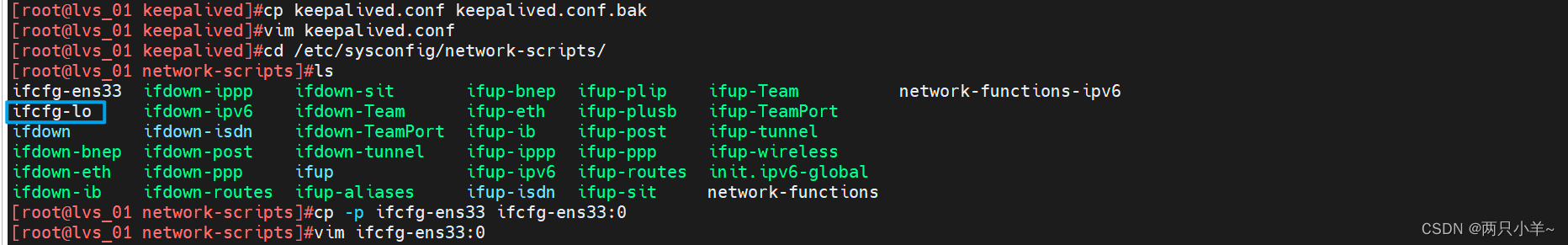 LVS+Keepalived+nfs 集群_lvs nfs-CSDN博客