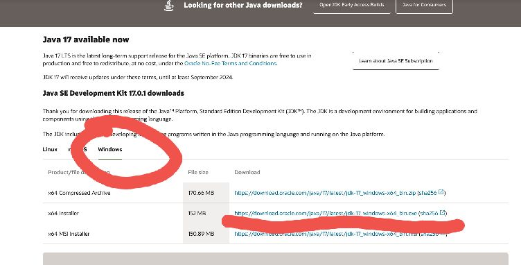 R语言在使用rjava或h2o是报错You have 32-bit version of Java.Windows系统完美解决方案_error in value[[3l]](cond ...