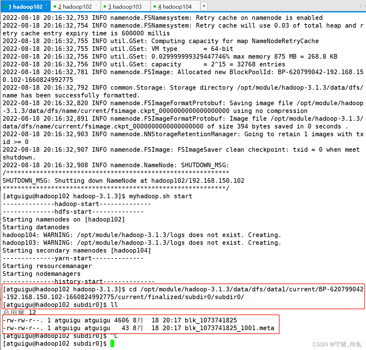 DateNode多目录配置_dfs.datanode.data.dir_守猪_待兔的博客-CSDN博客