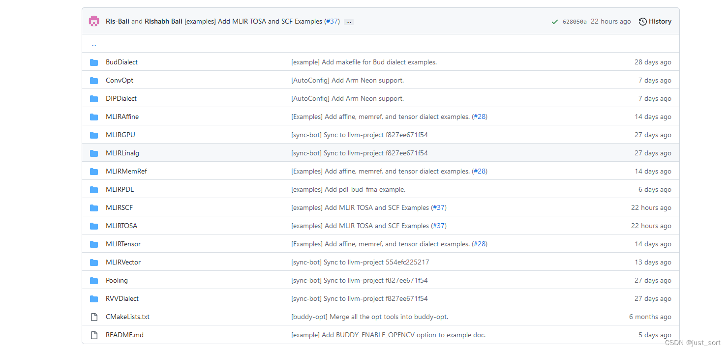 Buddy-MLIR 项目详解（入门 MLIR 极佳选择）-CSDN博客