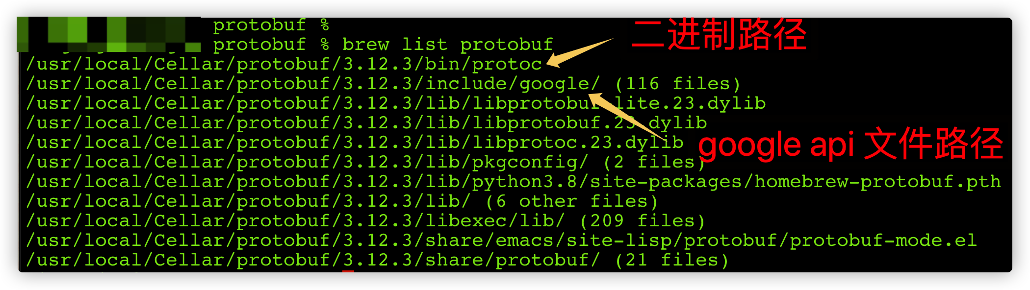 Protobuf 介绍与实战1：Mac环境下安装Protobuf(两种方式安装)_mac安装protobuf-CSDN博客