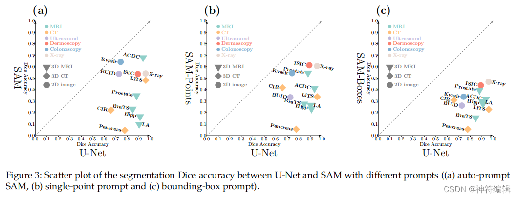 SAM在医学图像分割任务的精度分析（2023+Accuracy of Segment-Anything Model (SAM ...