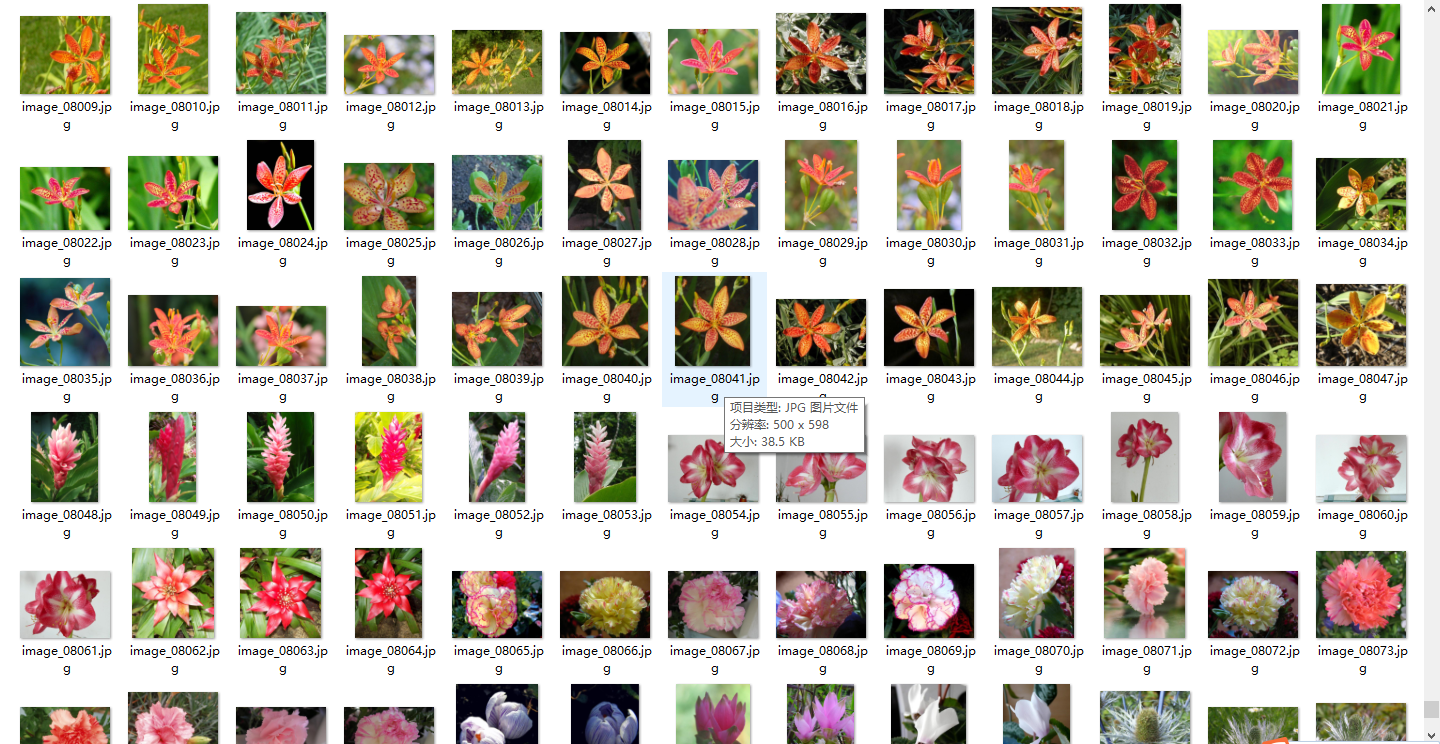 pytorch实现深度学习常用图像分类数据集的划分与读取（Oxford-102flower，CIFAR10/CIFAR100）_oxford ...