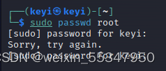 kali--password:su的 Authentication failure问题，&sudo passwd root输入密码时Sorry, try again._password: su ...