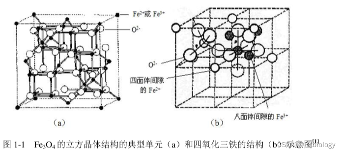 （200nm)PEG修饰四氧化三铁磁性纳米颗粒 羧基末端，Fe3O4纳米粒的2种结构_fe3o4 的磁矩值为-CSDN博客