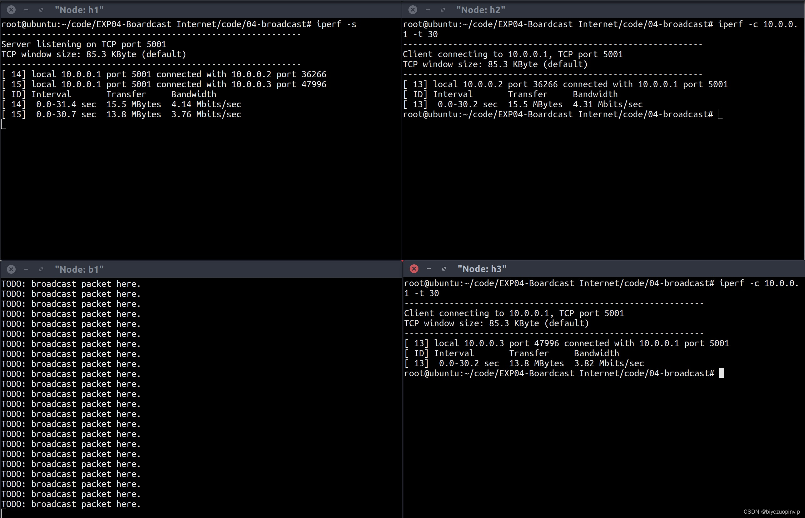 基于广播网络实验内容_h2和h3 同时向h1测量-CSDN博客