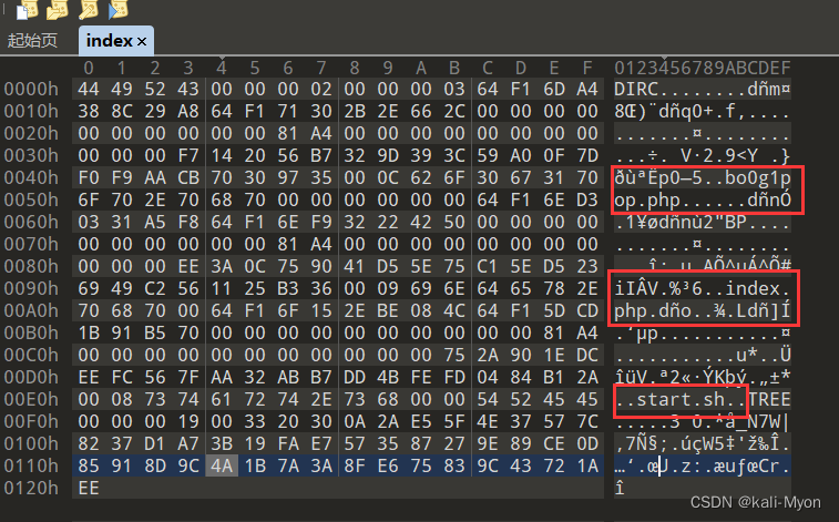 NewStarCTF2023week2-R!!C!!E!!（非常详细完整解题全过程）_week2 r!!c!!e!!-CSDN博客