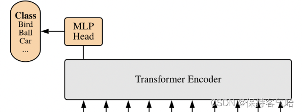 Vision Transformer 学习笔记_linear projection of flattened patcher的缺点-CSDN博客