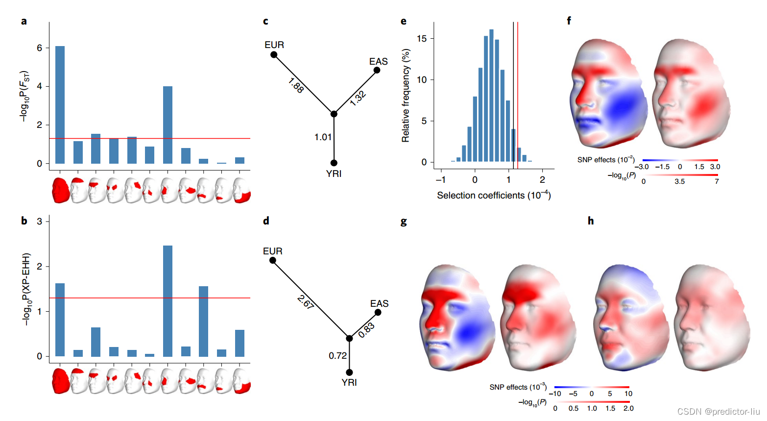 人脸+AI：从GWAS看人类面部特征遗传_ai面部分析血统-CSDN博客