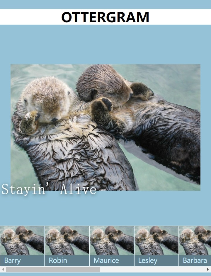 Web开发权威指南笔记（一）_ottergram-CSDN博客