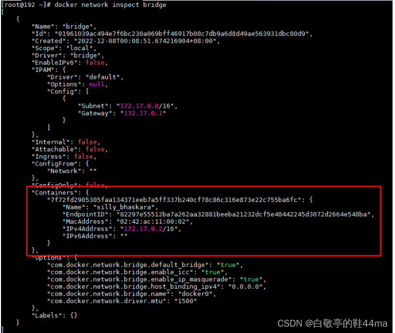 Docker之网络配置 Docker V Net Csdn博客