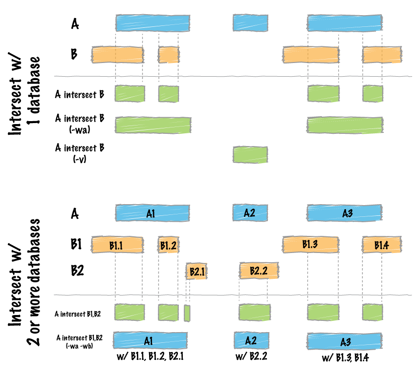 【bioinfo】bedtools之intersect命令参数_bedtools intersect-CSDN博客