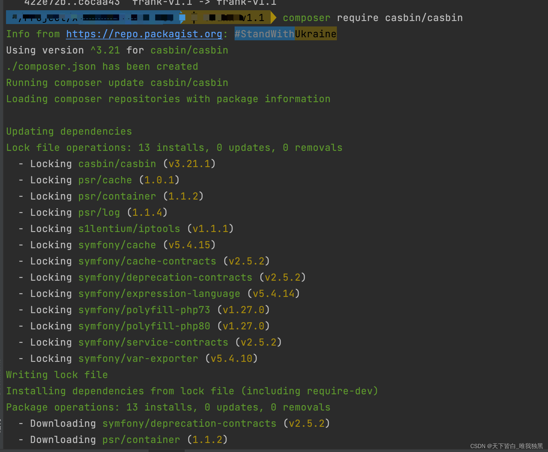 Php 使用composer安装casbin权限管理插件casbin Php Csdn博客 