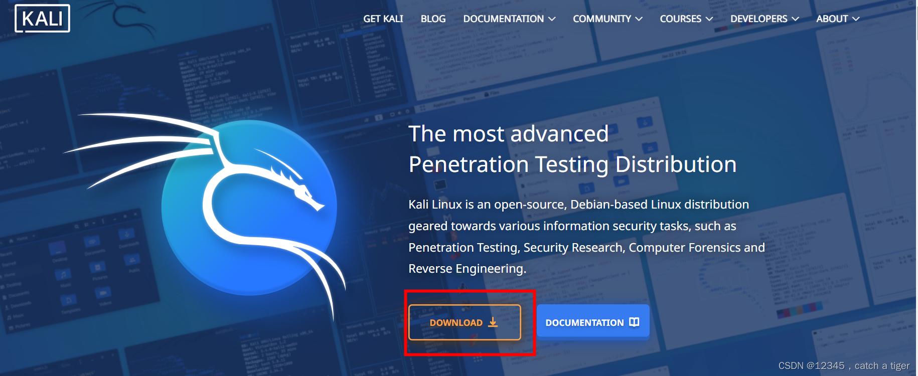 虚拟机之 kali系统安装_新建kali-linux虚拟机-CSDN博客