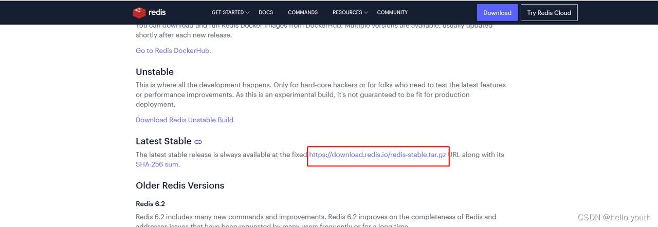 centos 用docker和非docker方式安装redis_redis-stack-server 非docker部署-CSDN博客