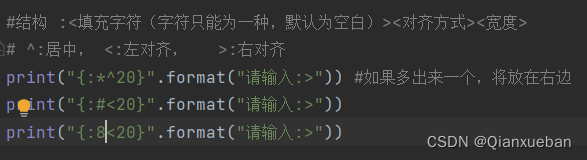 Python中的format函数 Csdn博客 