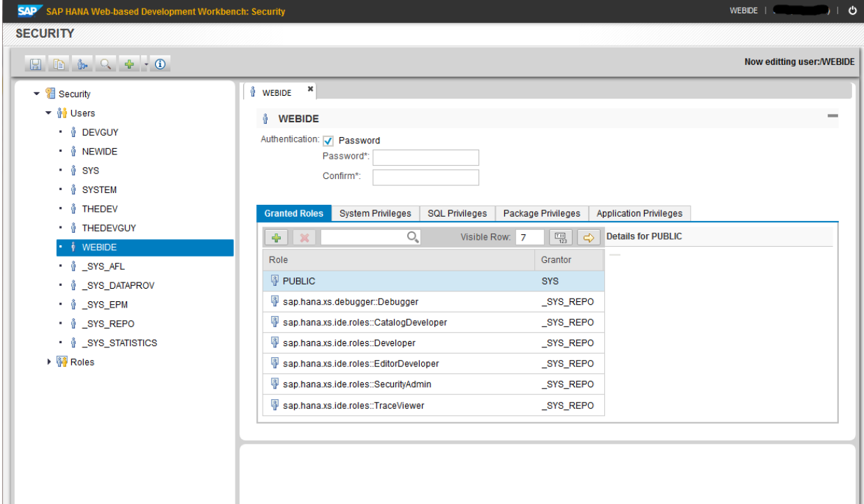 SAP HANA 基于Web的IDE的配置及使用_idea连接hana-CSDN博客