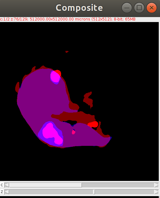 imagej fiji 查看结果 变换色彩_fiji使用 merge-CSDN博客