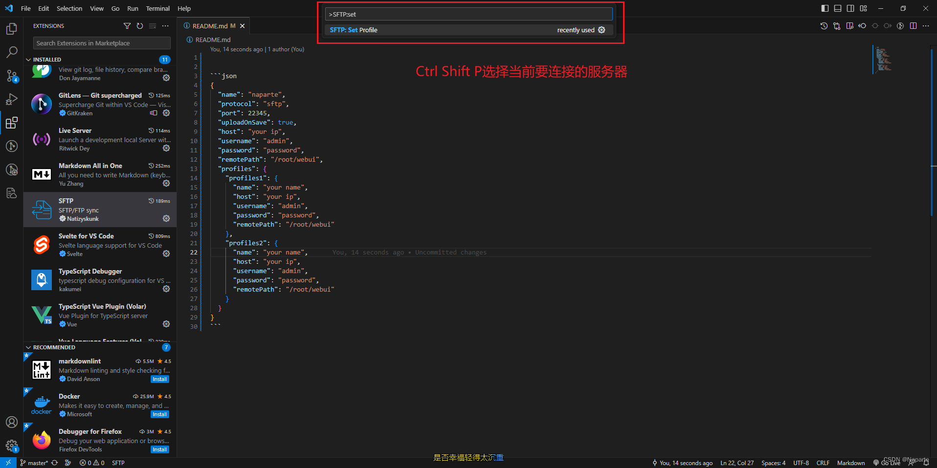 vscode sftp配置多个服务器_sftp.json里配置多个远程服务器-CSDN博客