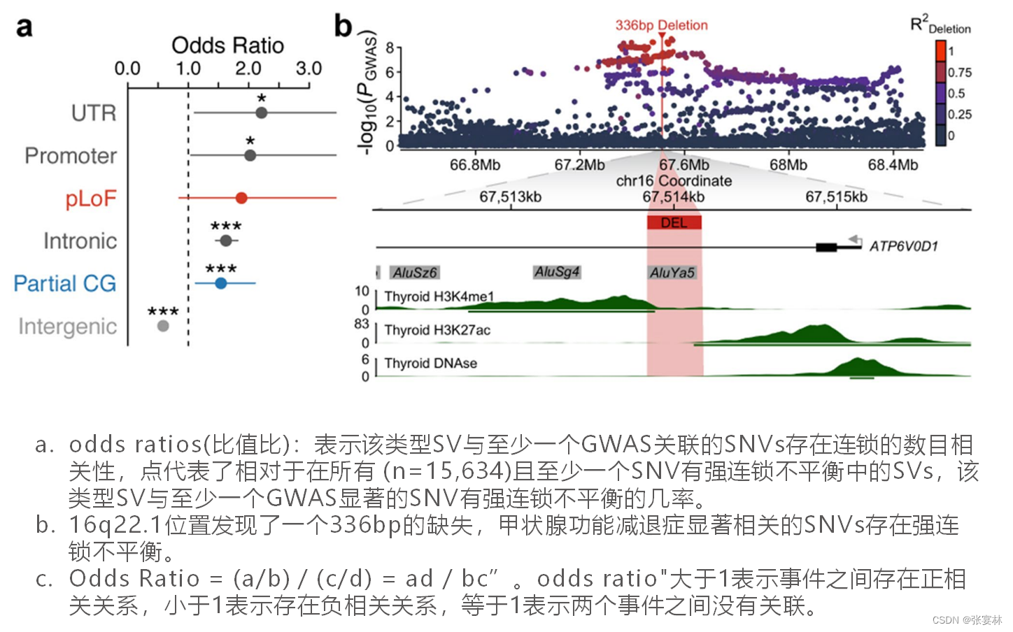 人基因组重测序系列 - 1.人基因组简介_human mutation-CSDN博客