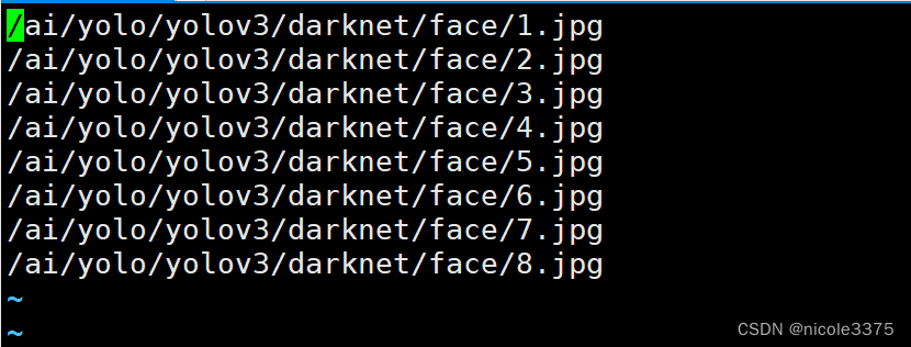 darknet版yolov3批量图片检测_darknet模型一次预测多张图片-CSDN博客