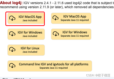 mac版 IGV(版本2.12.3)安装_igv mac-CSDN博客