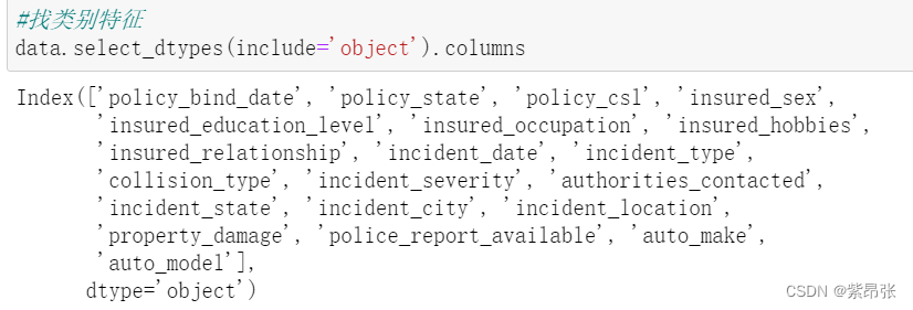 Python机器学习：select_dtypes()筛选特定数据类型的字段_python中怎么看一个字段中筛选需要的类别-CSDN博客