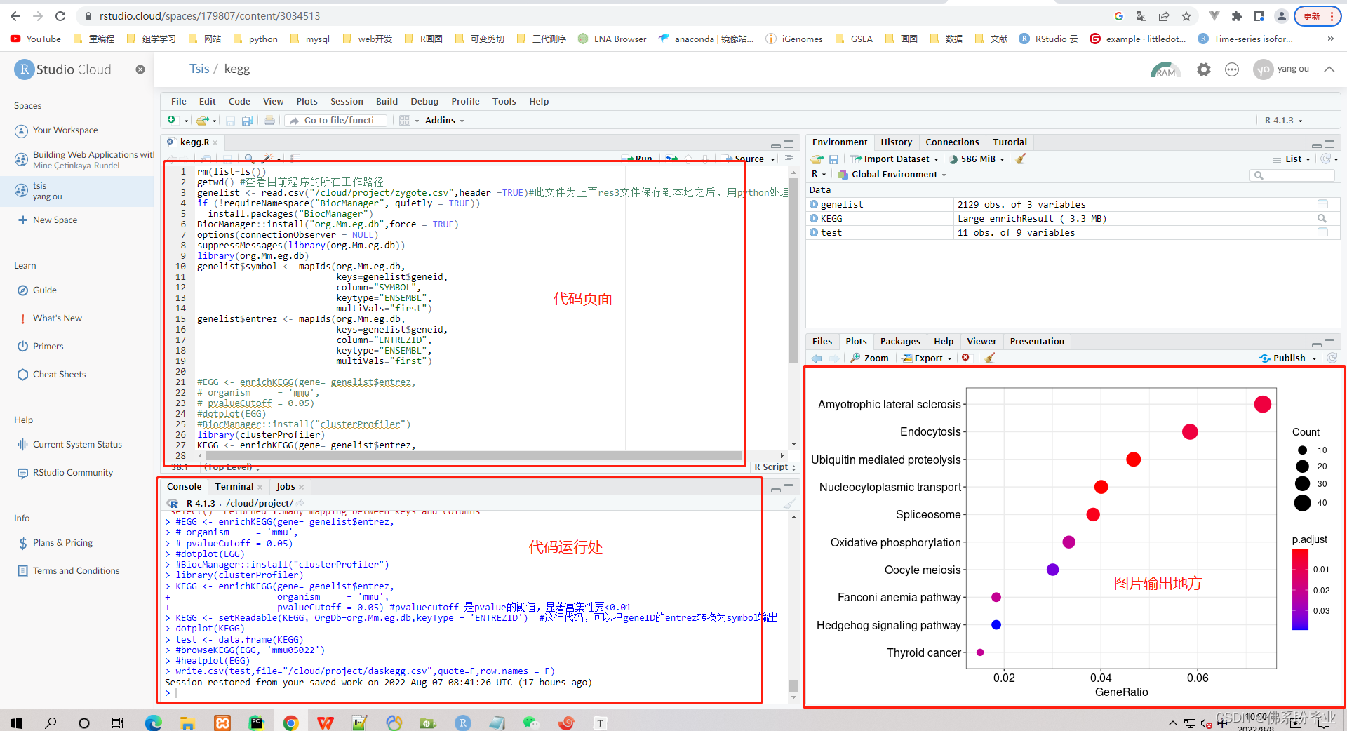 使用在线版Rstudio跑kegg，解决报错报错 fail to download KEGG data... Error in download.KEGG.Path(species)的方法 ...