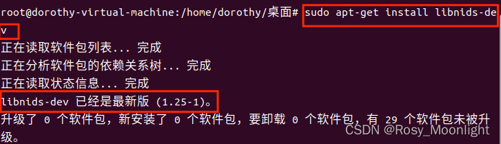 Libnids的安装教程_libnids安装-CSDN博客