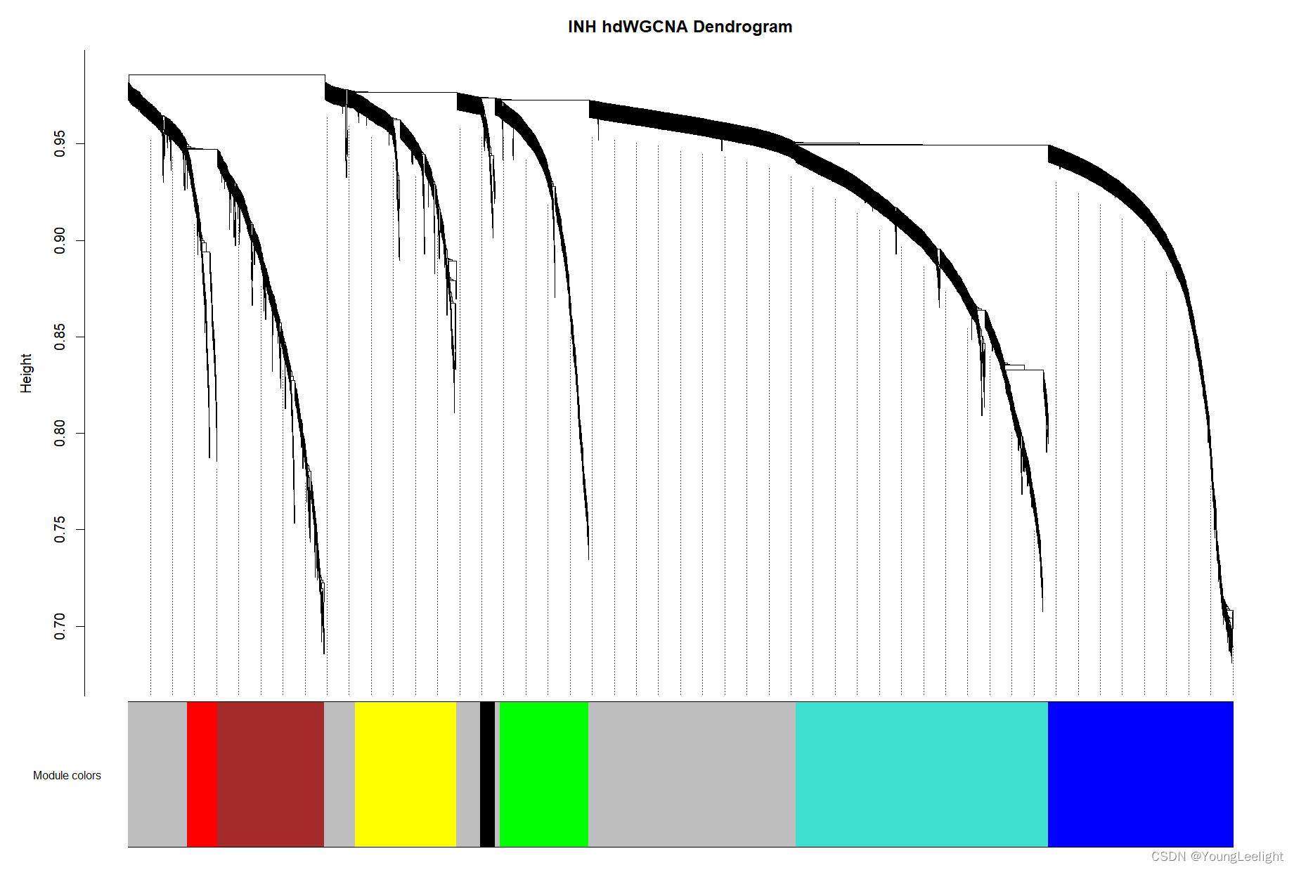 scwgcna官网教程中英文实战高维wgcna分析 单细胞wgcna分析-CSDN博客