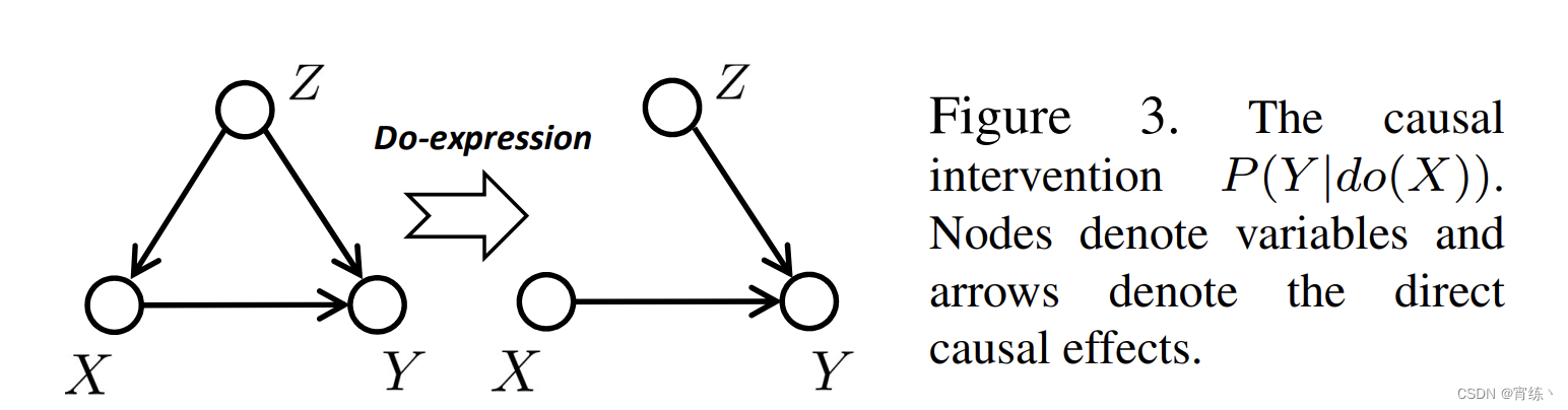 （CVPR2020）论文笔记：Visual Commonsense Representation Learning via Causal Inference_visdrone论文-CSDN博客