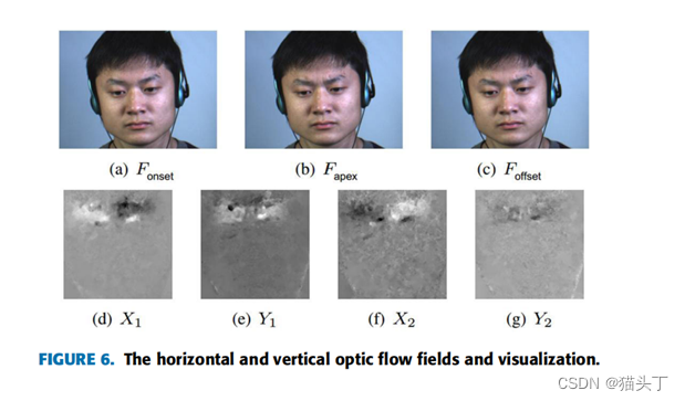 【菜鸡读论文】Recognizing Spontaneous Micro-Expression Using a Three-Stream Convolutional Neural ...