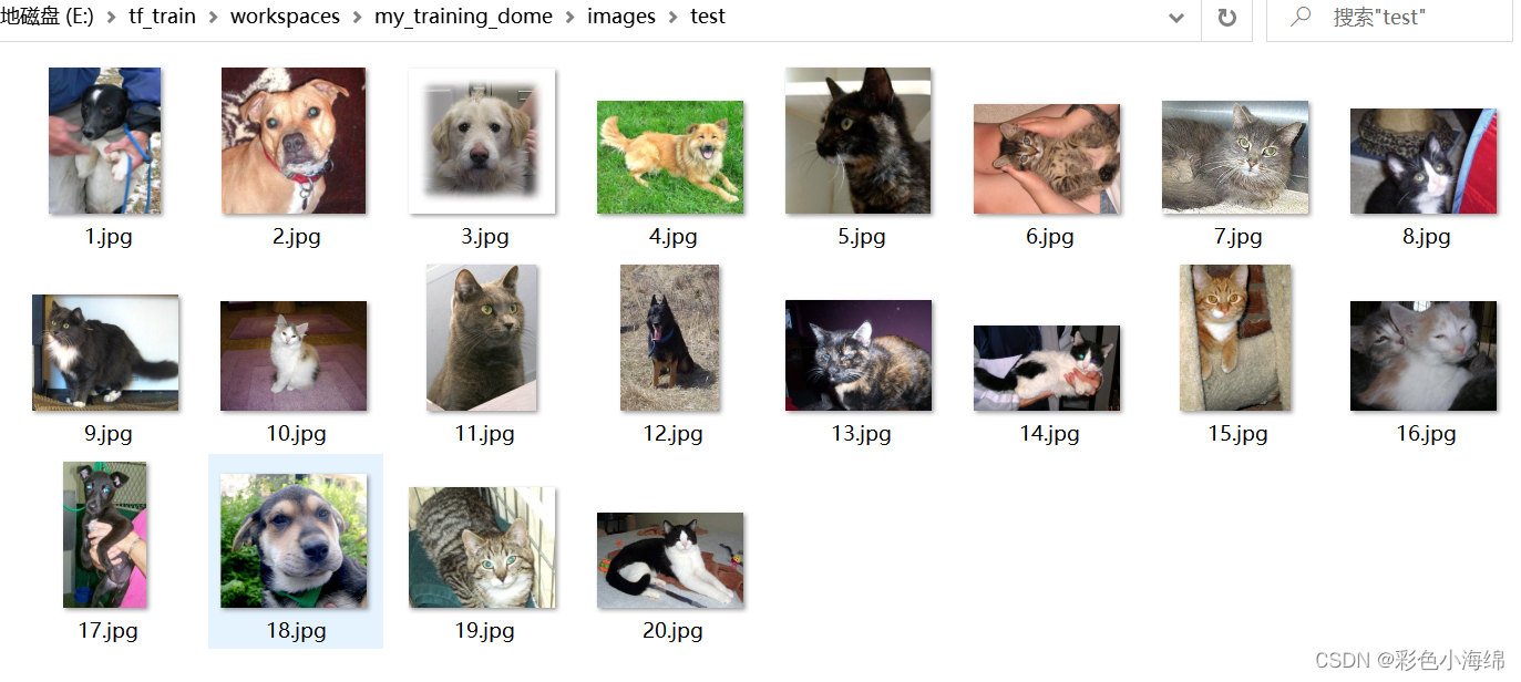 Tensorflow 与训练猫狗数据模型做迁移式学习完整流程迁移学习训练流程图 Csdn博客