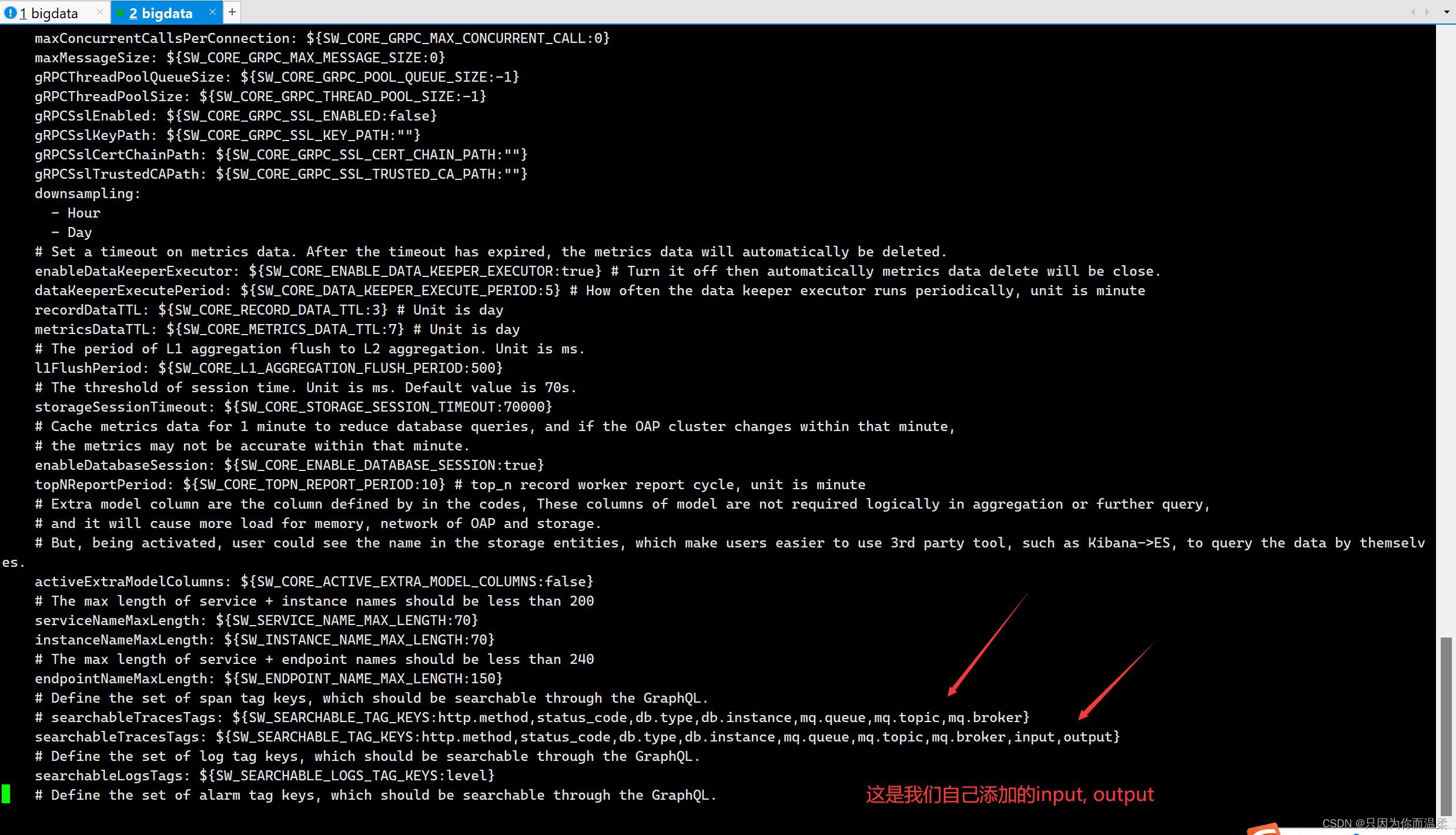 Skywalking8.8自定义tag_skywalking tag-CSDN博客