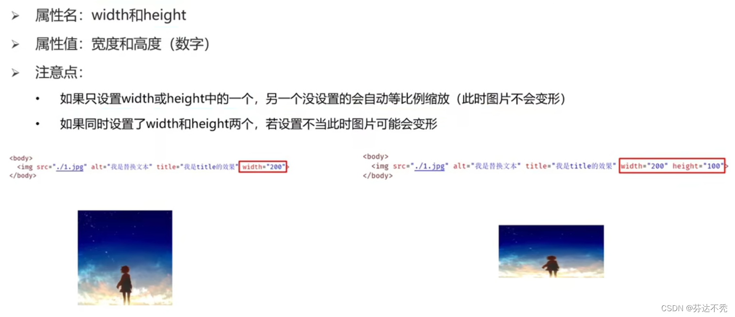 Html标签（1） Csdn博客 
