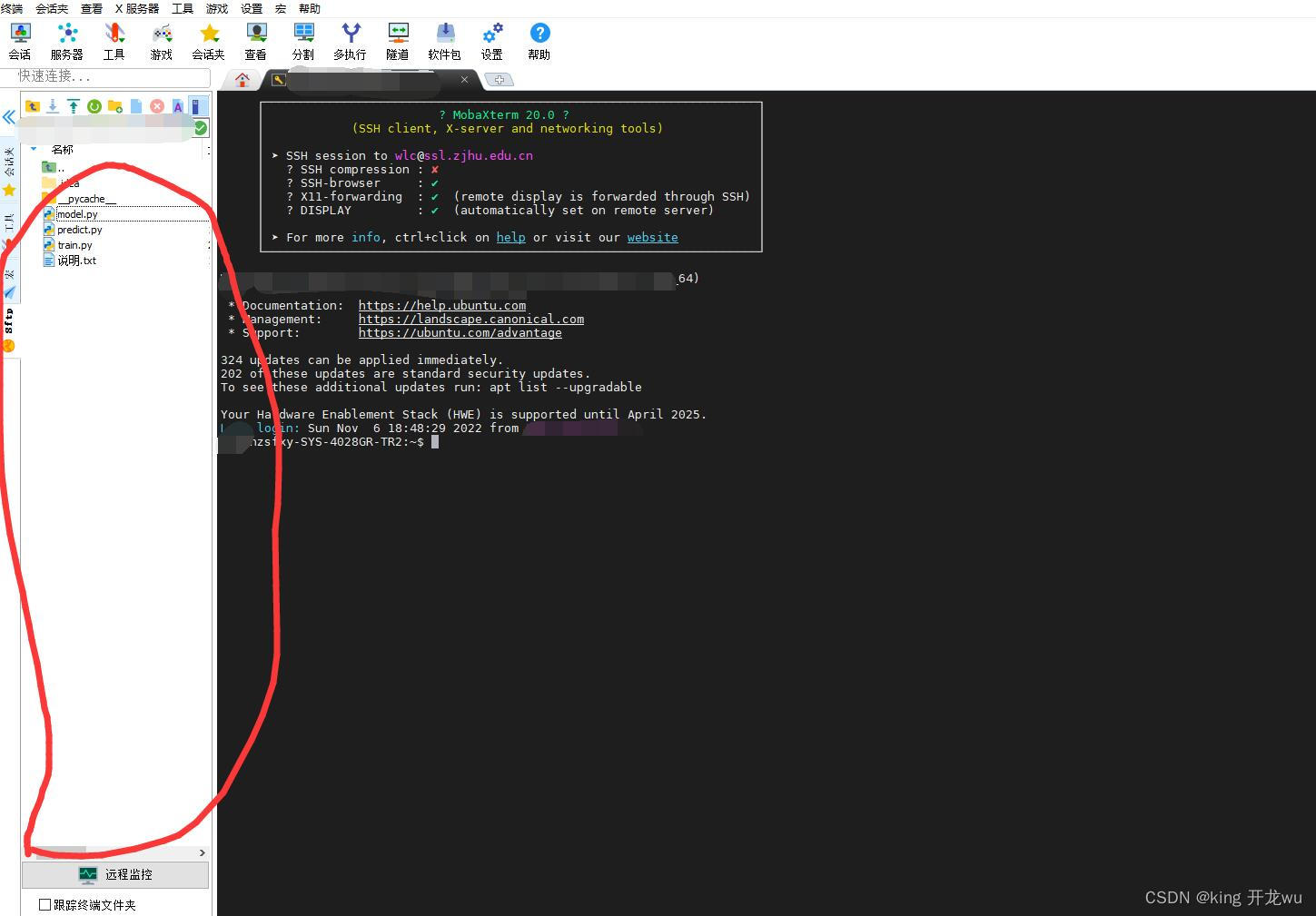 使用MobaXterm连接服务器并利用Anaconda进行pytoch环境跑深度学习模型LeNet-5分类_如何让用moba服务器跑深度学习-CSDN博客