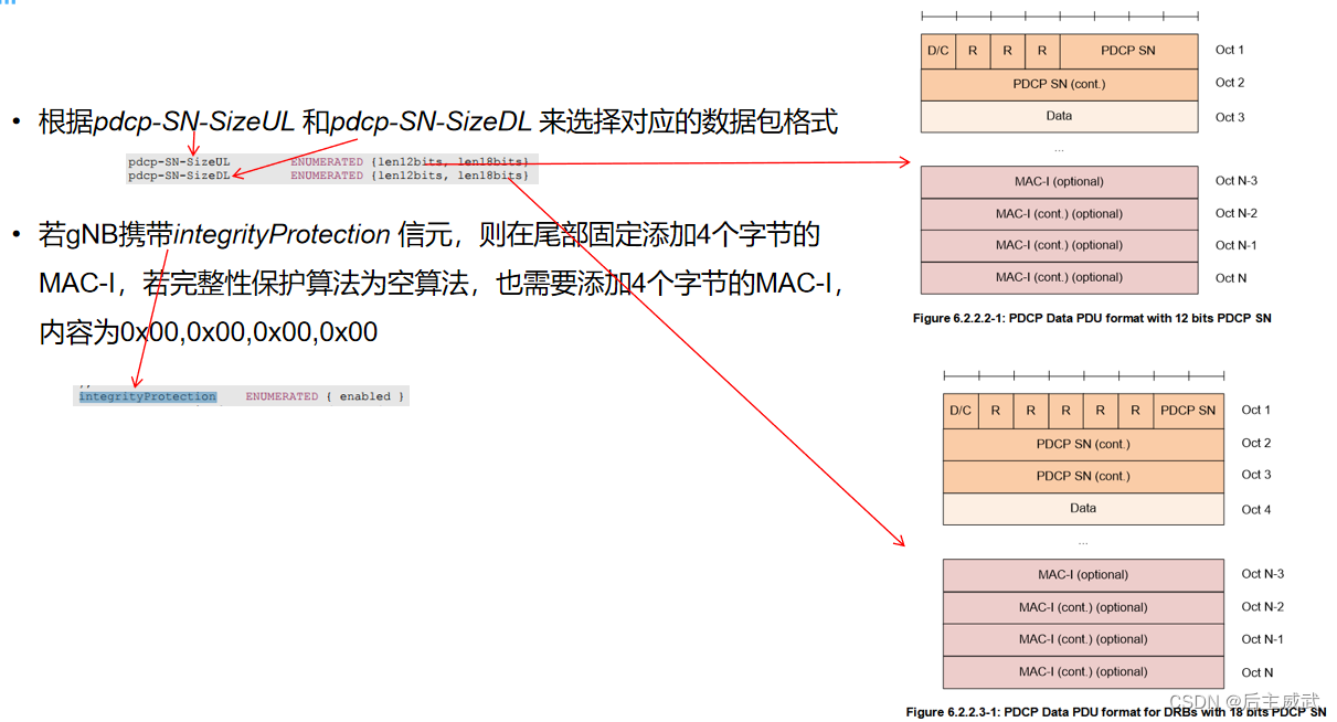 NR PDCP协议-CSDN博客