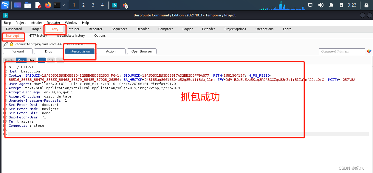 Burpe Suite学习-抓包_burpsuite怎么抓包csdn-CSDN博客