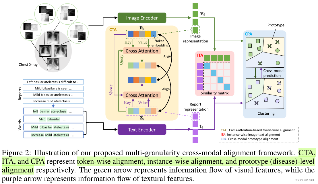 Multi Granularity Cross Modal Alignment For Generalized Medical Visual 