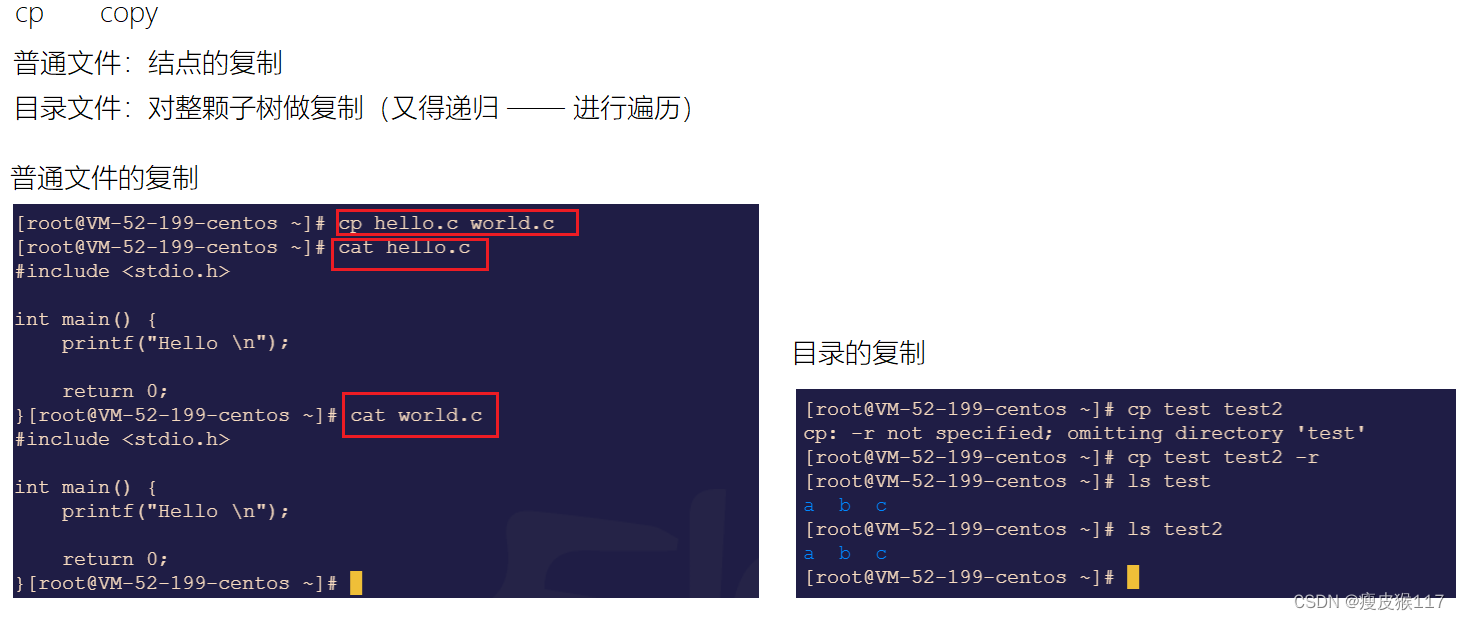 Linux的基本使用(二)文件操作命令rm Rf 后面加 Csdn博客