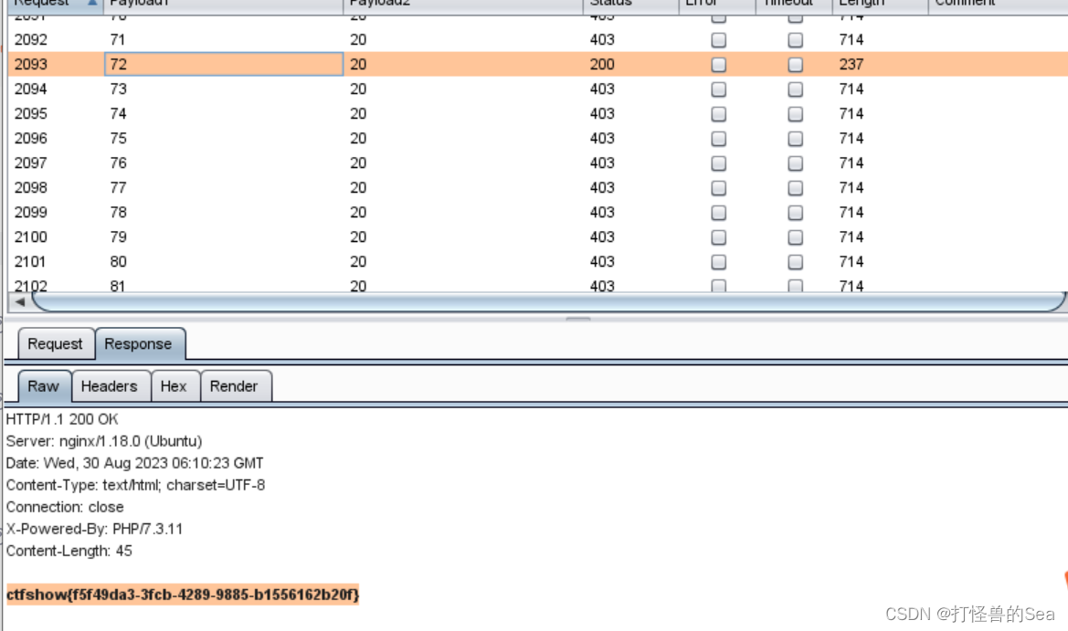 CTF-Web28（目录爆破）-CSDN博客