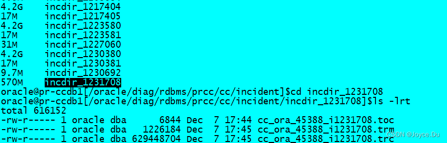 ORA-00600: internal error code, arguments: [KGL-heap-size-exceeded]_ora00600 internal error code ...