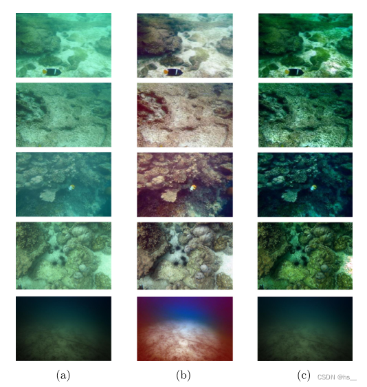 Underwater scene prior inspired deep underwater image and video enhancement-CSDN博客